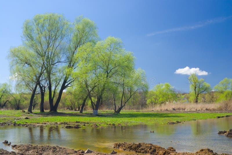 Ukrainian Rural Landscape in Spring Season Stock Photo - Image of grass ...