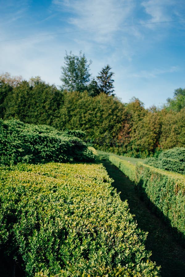 Ukrainian Spring Park in the Rays of the Spring Sun Stock Photo - Image ...