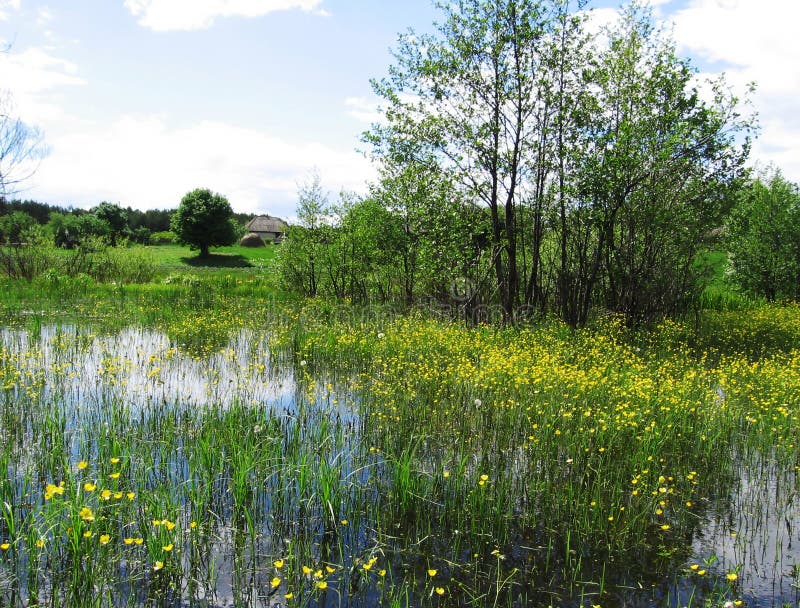 Ukrainian Village on the Spring Stock Photo - Image of plant ...