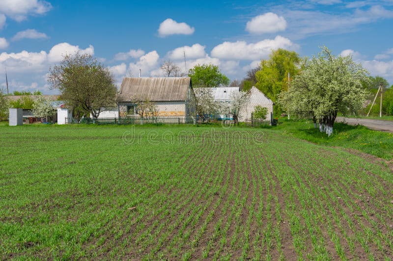Ukrainian Village at Spring Season Stock Photo - Image of landscape ...