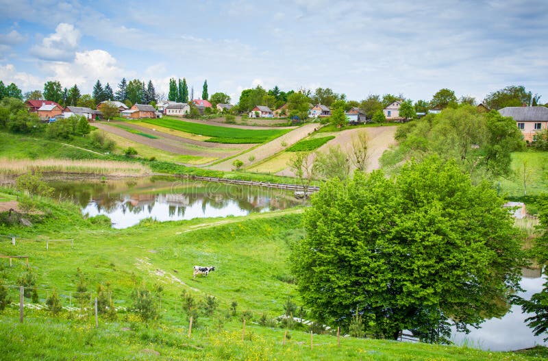 Ukrainian village stock image. Image of nature, green - 70131407