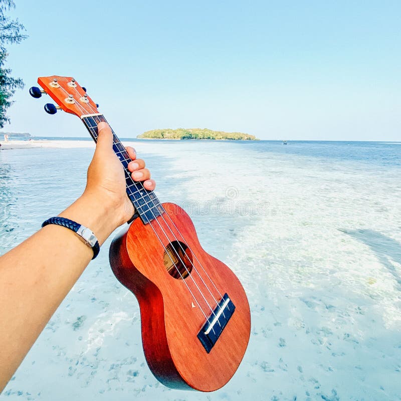 Ukulele on the Beach stock image. Image of beach, music - 201132461