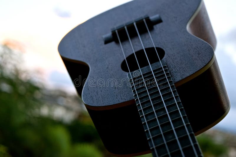 Ukulele Closeup stock image. Image of accompaniment - 113330481