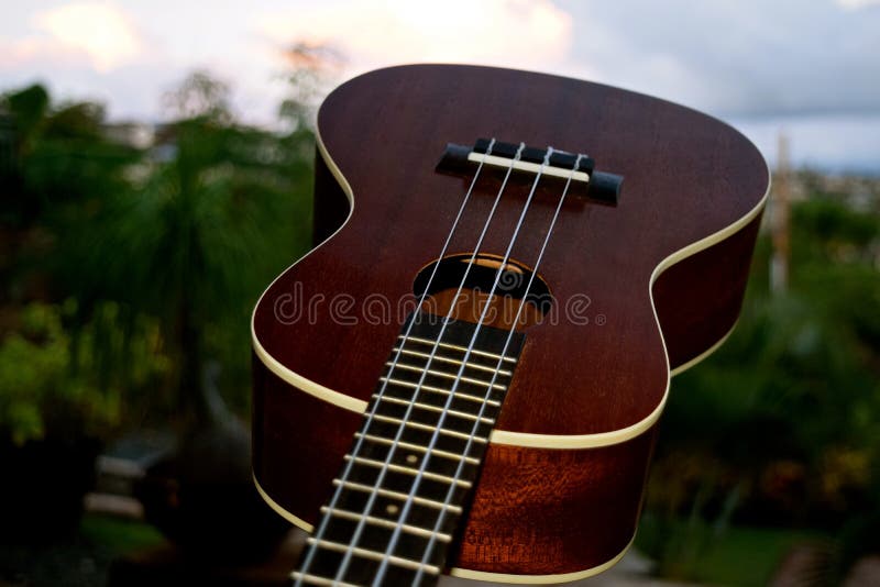 Ukulele Closeup stock image. Image of arts, close, frets - 113330517