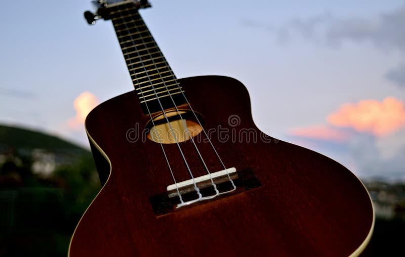 Ukulele Closeup stock photo. Image of fret, harmonizing - 113330540