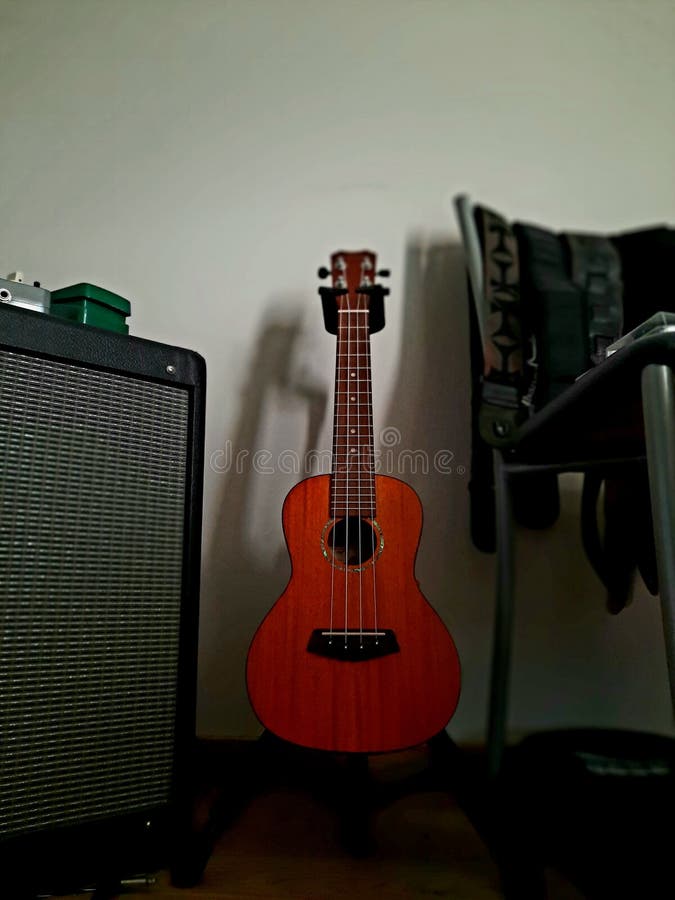Ukulele picture editorial photography. Image of ukulele - 237505537