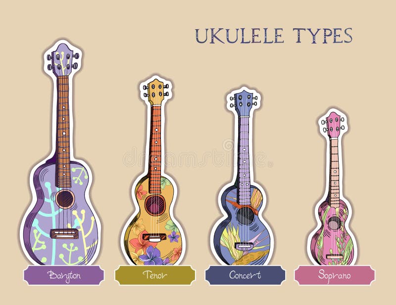 Ukulele types stock vector. Illustration of isolated - 129277598