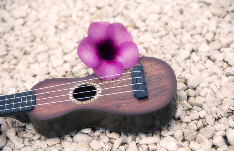 Ukulele Vintage Stone Floor. Stock Photo - Image of isolated, brown ...