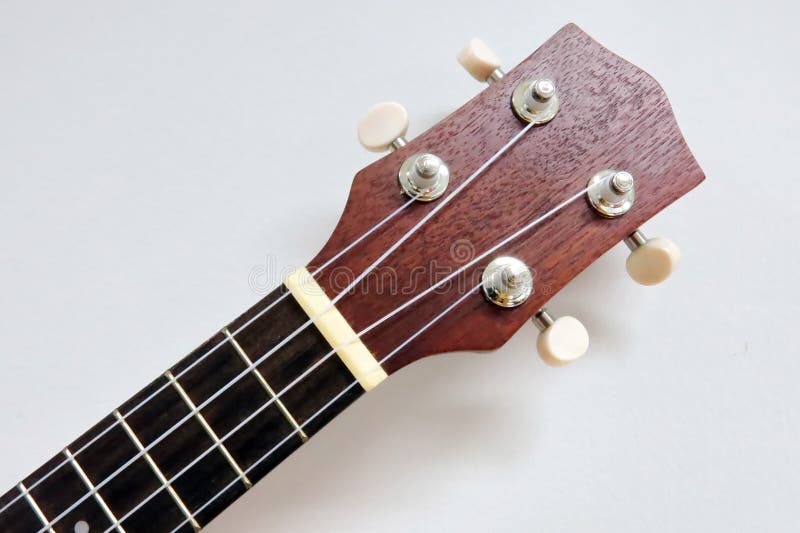 Ukulele Head Neck Stock Photos - Free & Royalty-Free Stock Photos from ...