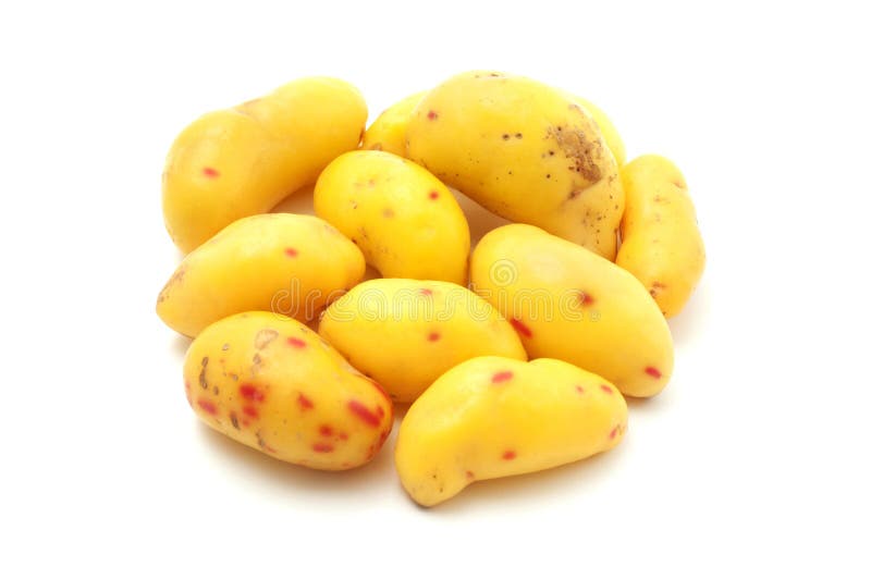 Ulluco image stock. Image du projectile, papa, macro - 28826353