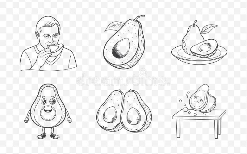 Ultimate Avocado Line Art Vector Pack Stock Vector - Illustration of ...
