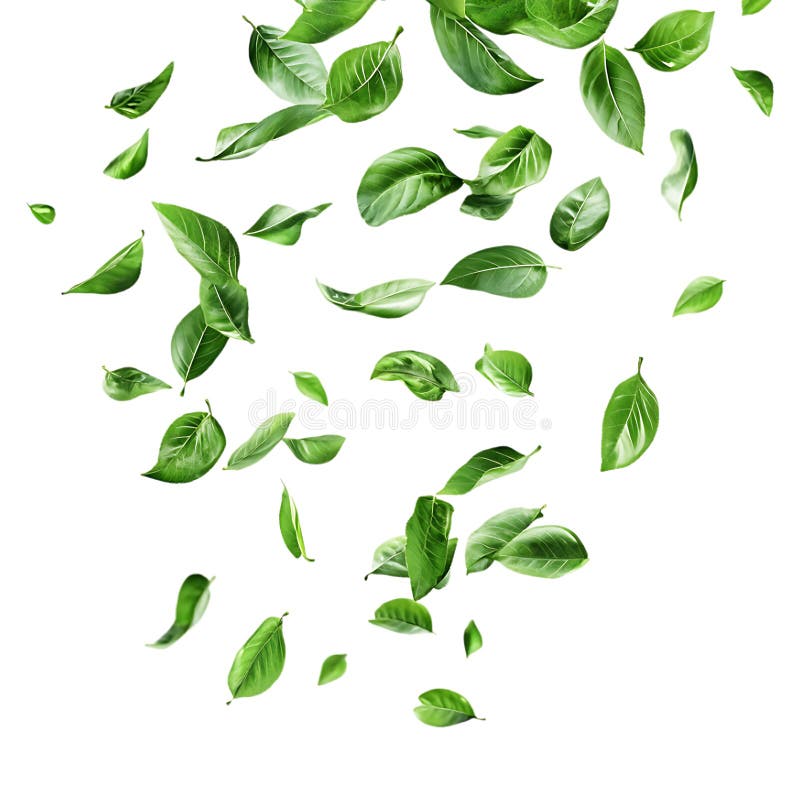 Ultimate Guide To Black Hole Physics on Transparent Background Stock ...