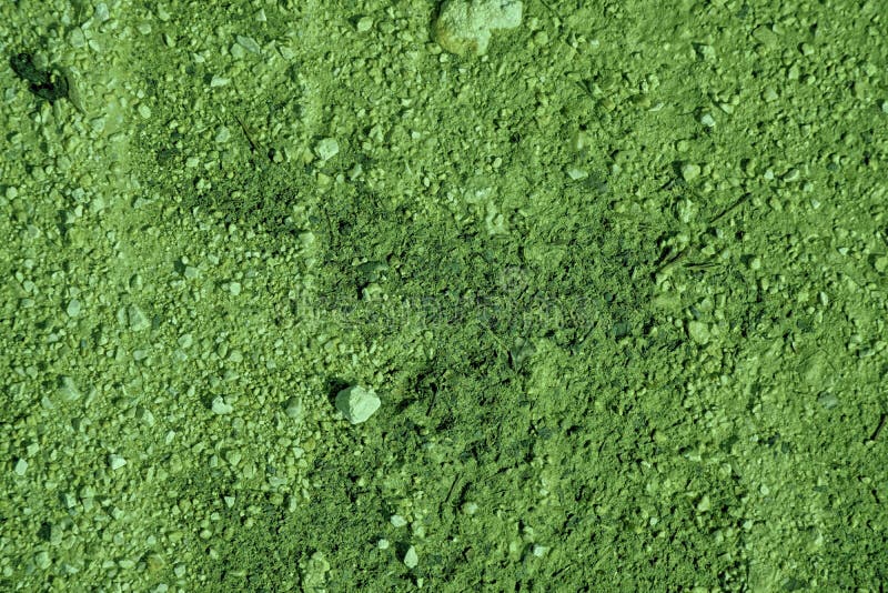 Ultra Green Ground Texture, Sand Surface, Stone Background Stock Image ...