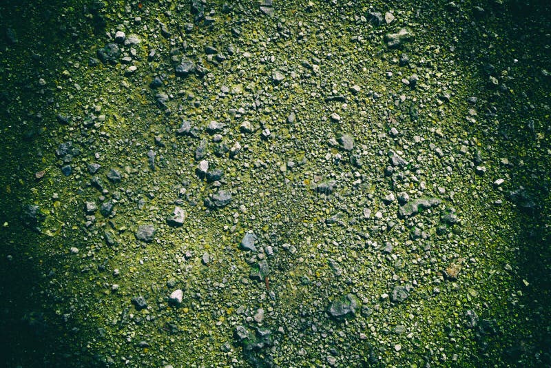 Ultra Green Ground Texture, Sand Surface, Stone Background, Good for ...