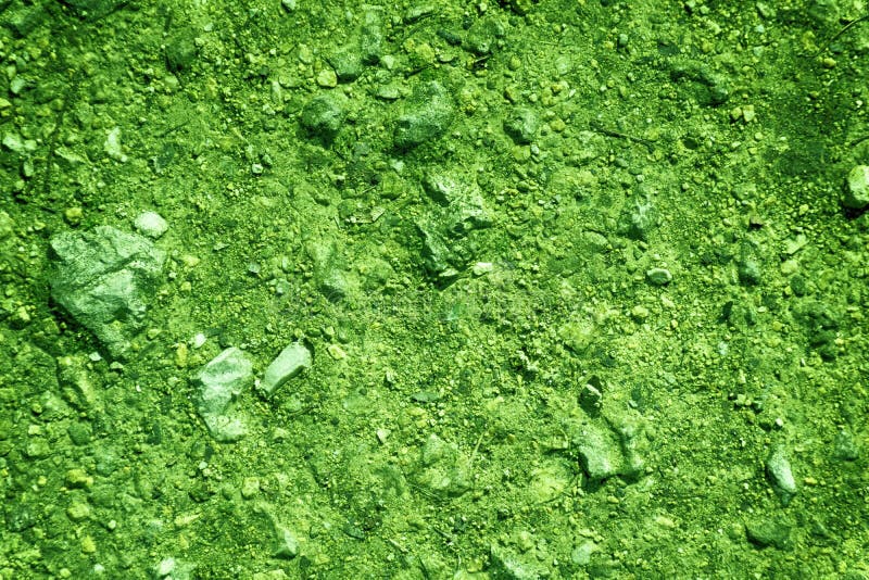 Ultra Green Ground Texture, Sand Surface, Stone Background, Good for ...