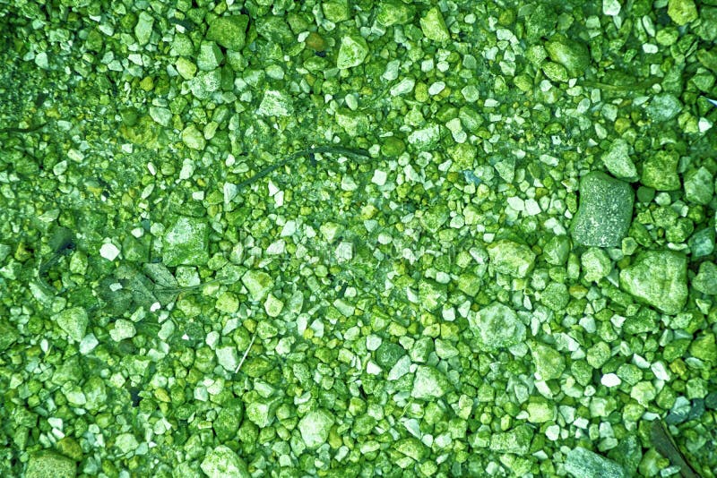 Green Pebble-Grain Background Stock Photo - Image of ridges, bumps: 2786560