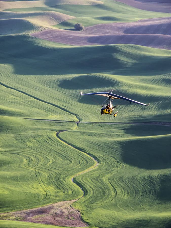 Ultra-light Plane Flies Over Wheat Fields on the Rolling Hills Stock ...