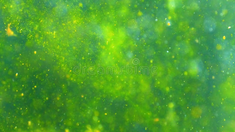 Ultra Macro Bio Vegetable Water Background Stock Image - Image of atom ...