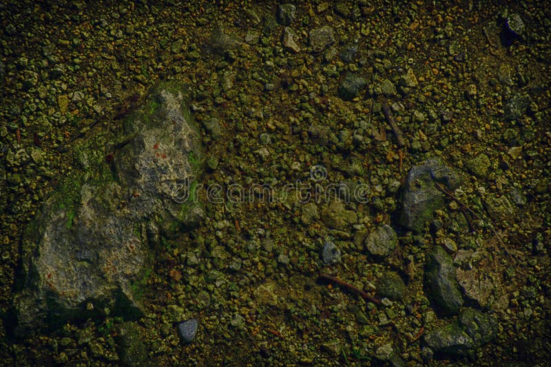 Ultra Orange Ground Like on Mars, Land Texture, Sand Surface, Stone ...