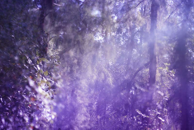 Ultra Violet Background Effect with Double Exposure and Abstract Trees ...