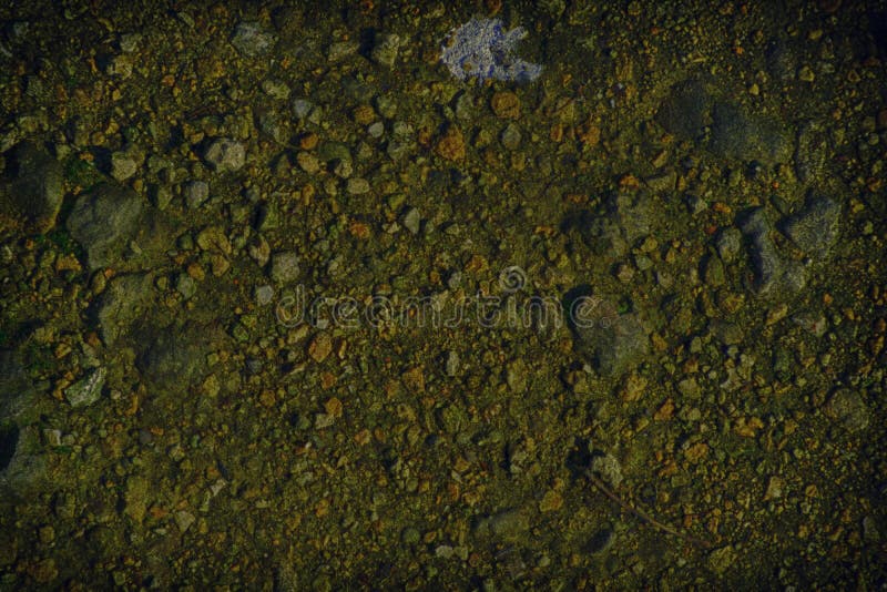 Ultra Yellow Ground Texture, Sand Surface, Stone Background, Good for ...