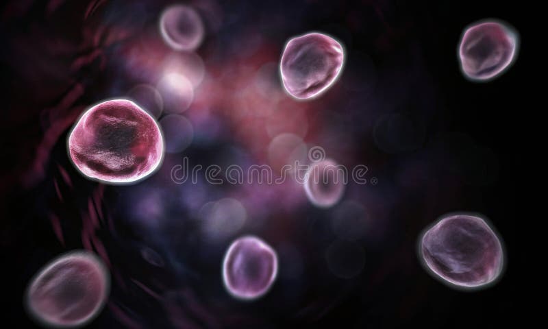 Ultrastructural Organization of Cells: Principles and Technologies of ...