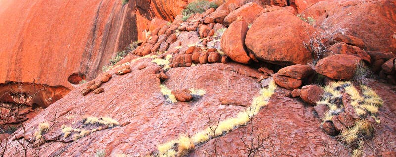 Uluru close up editorial photo. Image of close, vegetation - 41367836