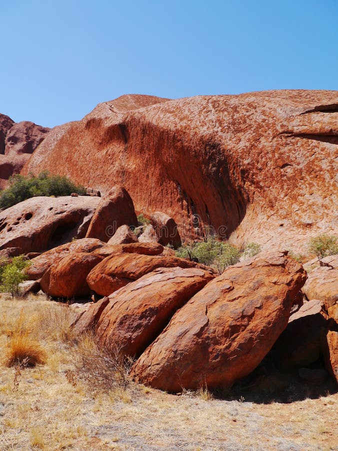 Uluru-Kata Tjuta National Park Editorial Photo - Image of biology ...