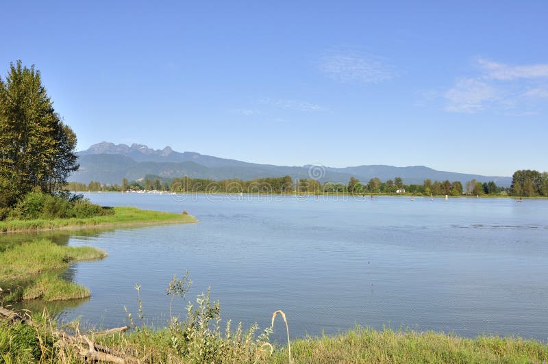 Um louro de um rio foto de stock. Imagem de céu, paisagem - 29633468