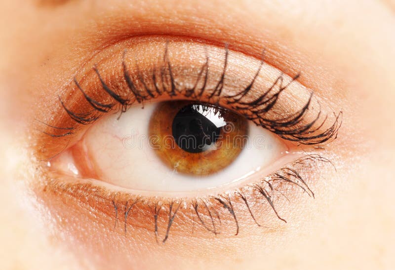 Um olho aberto foto de stock. Imagem de aberto, olho, chicotes - 3425622