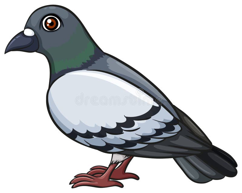 Pombo Ilustrações, Vetores E Clipart De Stock – (27,059 Stock ...
