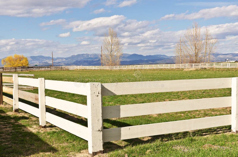 Um rancho, muitas cercas foto de stock. Imagem de mola - 24989908