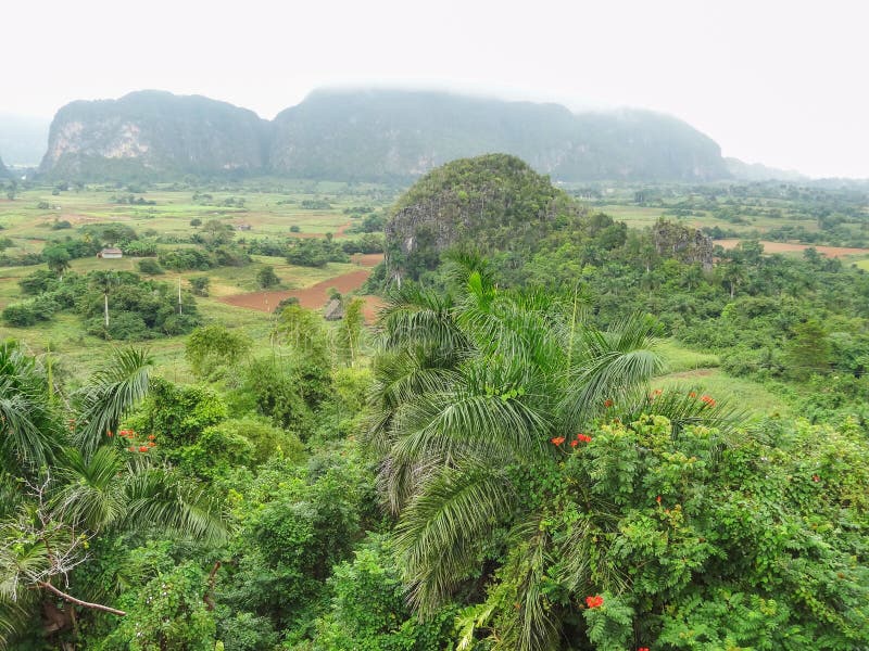 Um Vinales-Tal in Kuba stockfoto. Bild von botanik, landschaft - 62308794