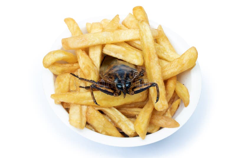 Uma Barata Fritada Com Batatas Fritas No Copo Foto de Stock - Imagem de ...