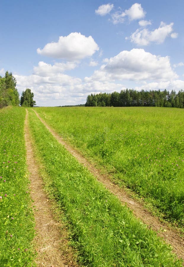 Uma Estrada Rural Na Grama Verde Do Campo Imagem de Stock - Imagem de ...