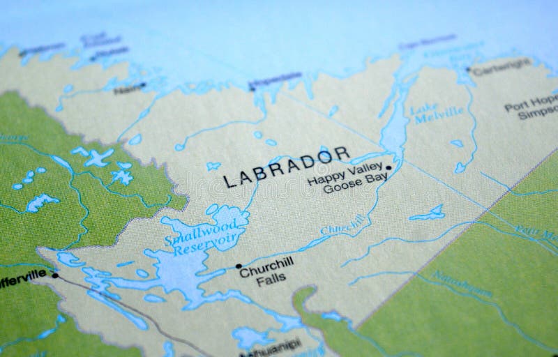 Uma Foto De Labrador Em Um Mapa Imagem de Stock - Imagem de global ...