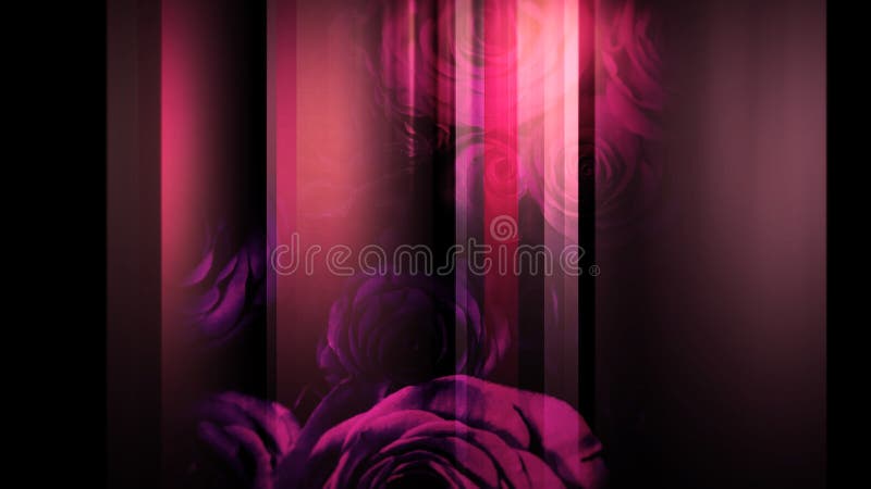 Uma Imagem De Rosa E Uma Linha Vertical Que Se Move Para a Esquerda E ...