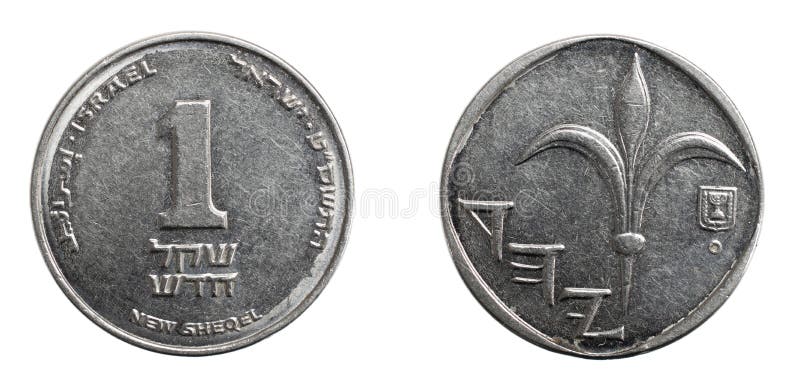 Duas Novas Moedas Israelitas De Shekel Isoladas Em Fundo Branco Imagem ...
