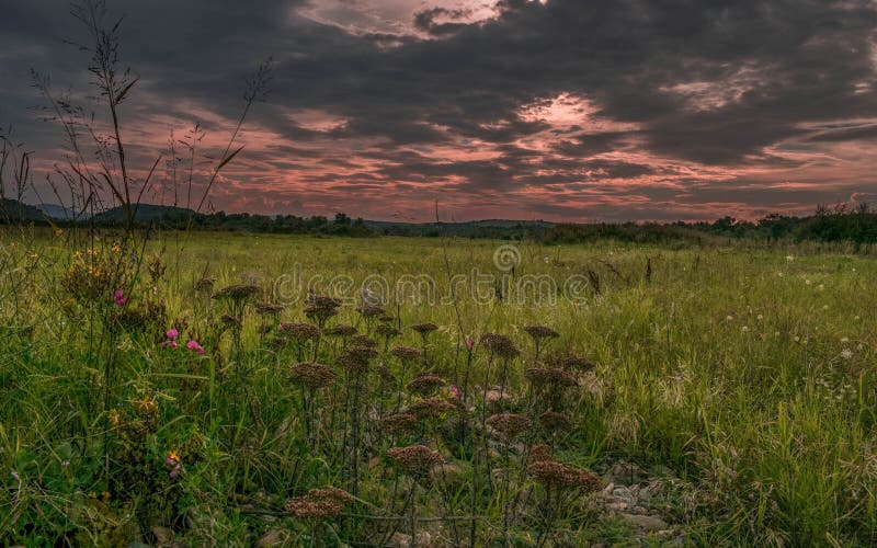 Uma Paisagem Escura Do Campo Da Noite Antes Do Por Do Sol Imagem de ... Uma Paisagem Escura Do Campo Da Noite Antes Do Por Do Sol Imagem de ...