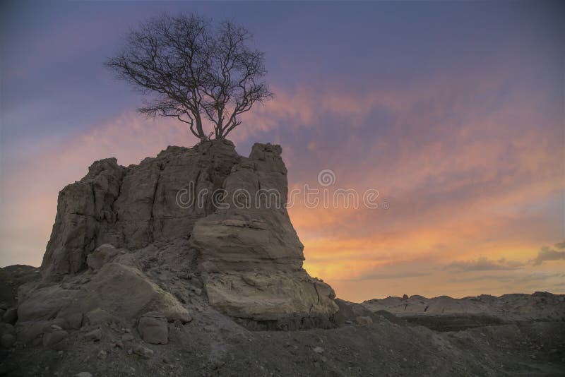 Umbab Qatar, Tree on Mountain Stock Photo - Image of orange, material ...