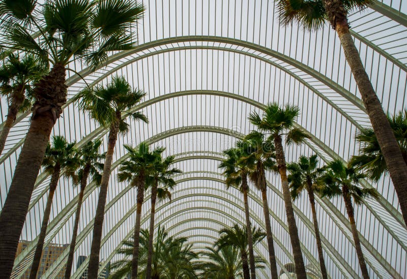 Umbracle imagen de archivo editorial. Imagen de museo - 54438944