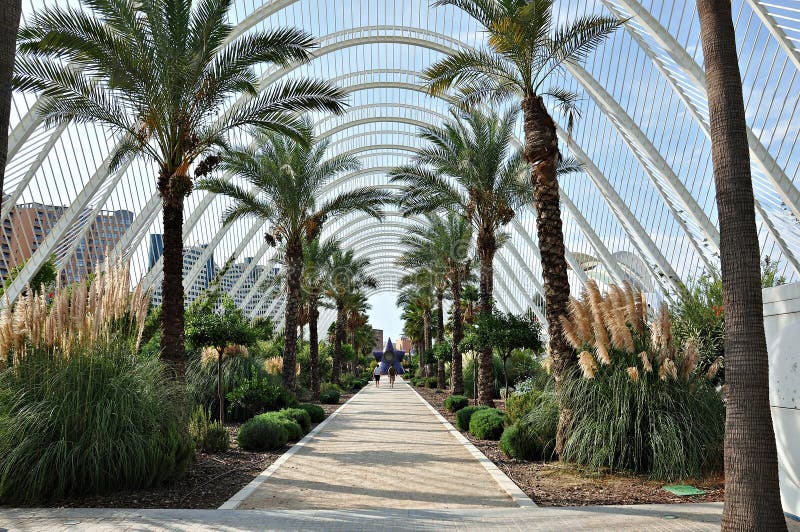 Plants in the Umbracle, a Landscaped Walk at he City of Arts and ...