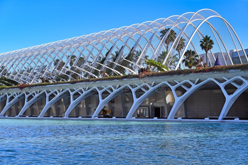 Umbracle Garden with Palm Trees in Valencia, Spain Editorial Stock ...