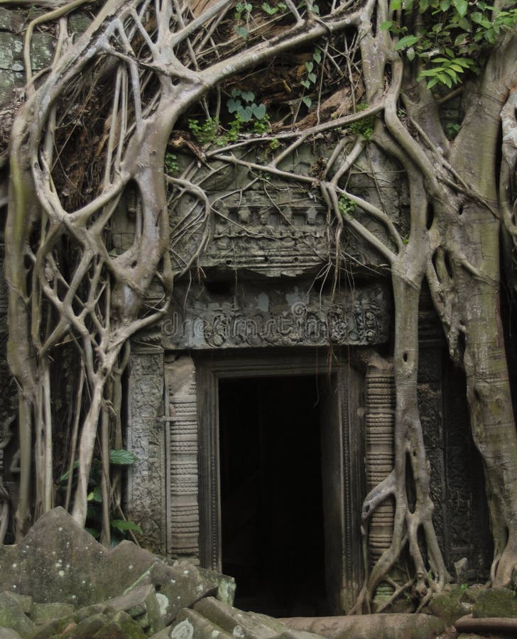 Umbral Fotos De Stock - Download 105,718 Fotos Libres de Derechos