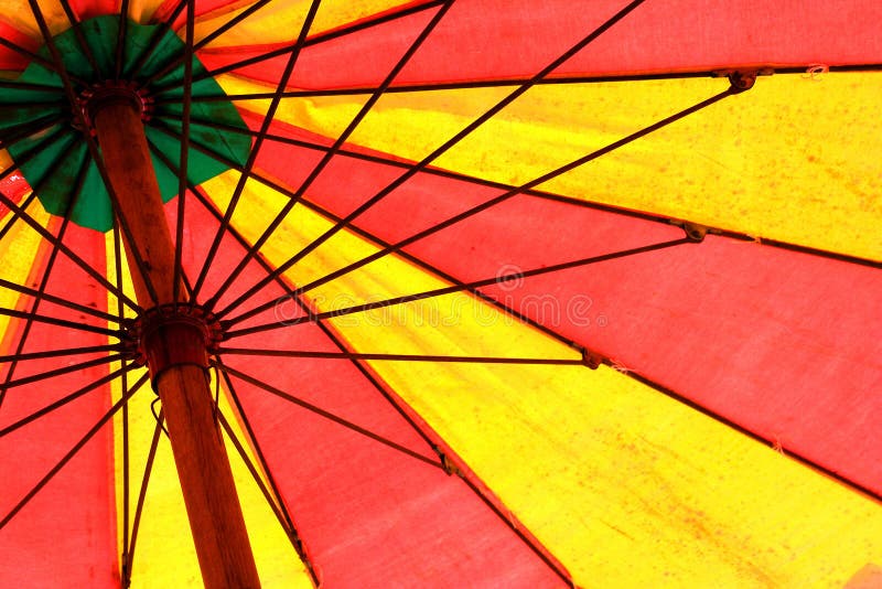 Nautilus shell section stock photo. Image of elaborate - 10312038