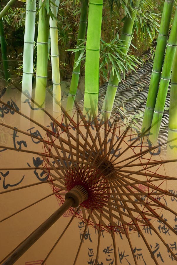 Umbrella and green bamboo stock photo. Image of leaf - 208278196