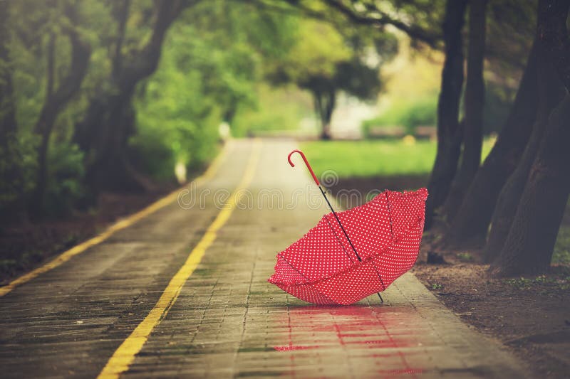 Umbrella on a Rainy Autumn Day Stock Photo - Image of nature, black ...