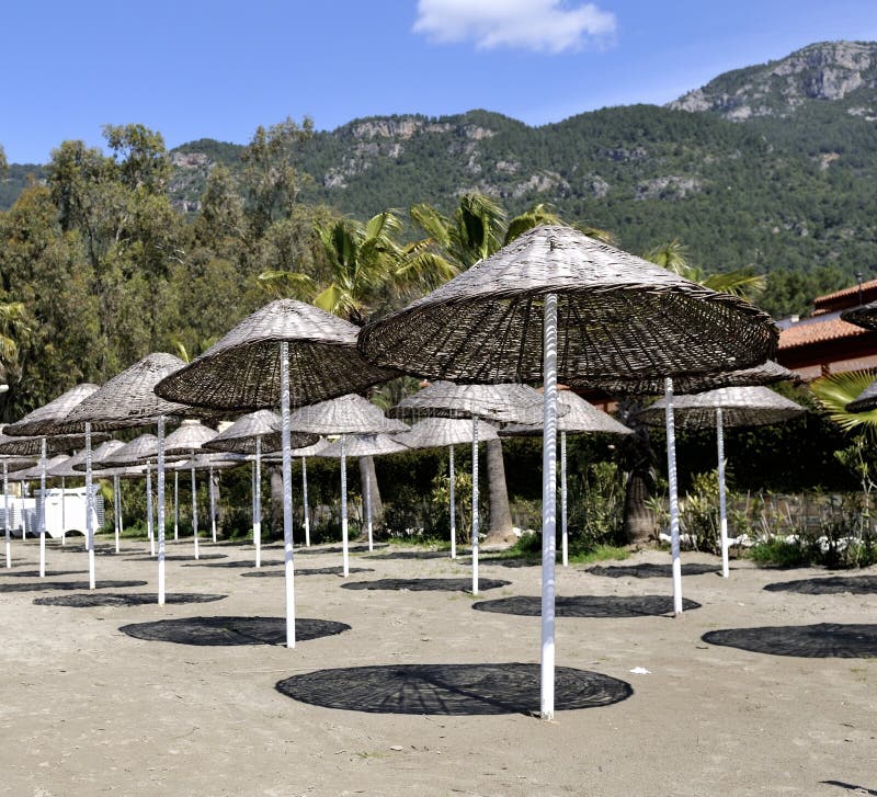 Umbrella on tropical beach stock photo. Image of romantic - 49059094