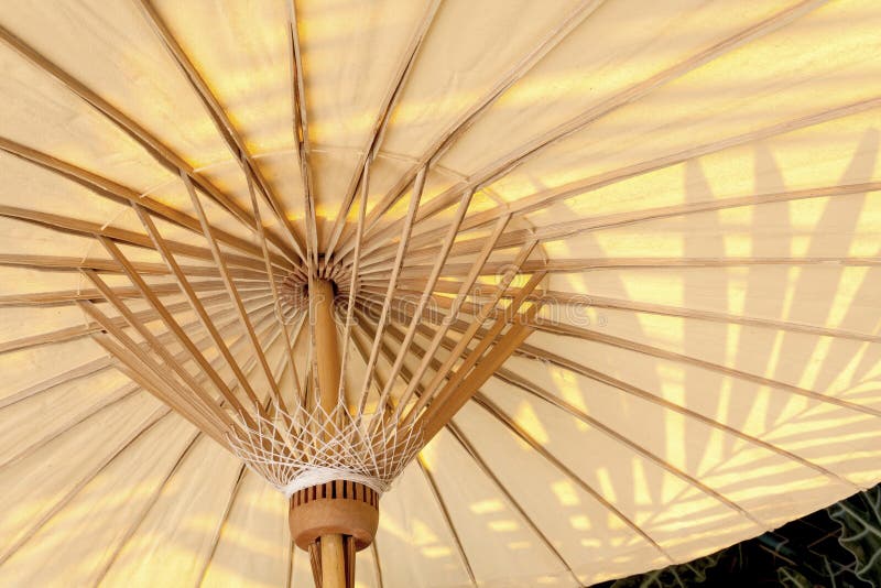 Umbrella Under the Shade of the Tree Stock Image - Image of decorative ...