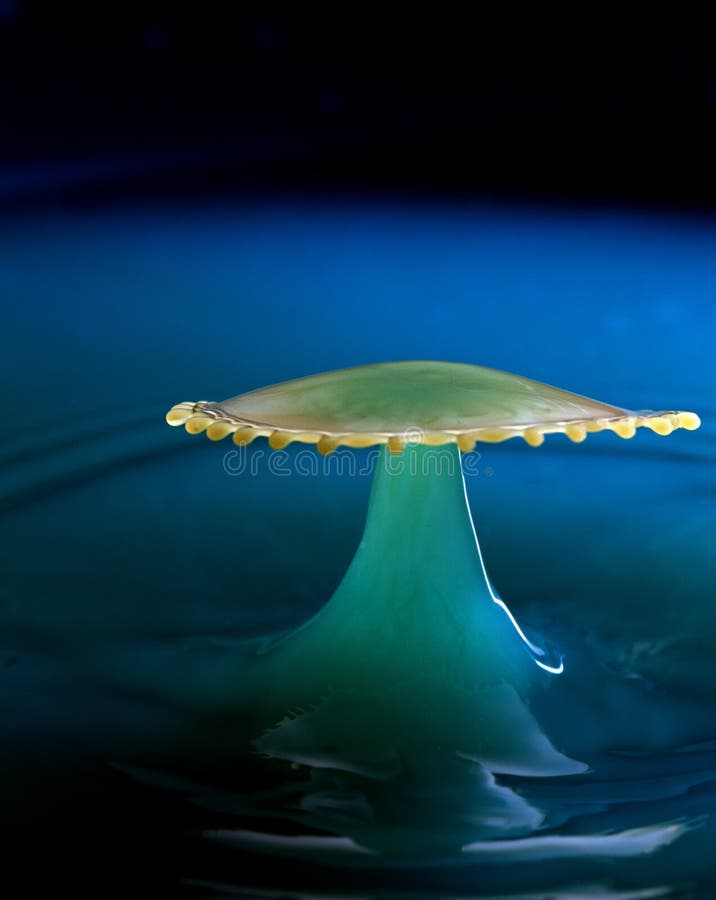 Liquid Drop Art Showing Colored Water Dropped into a Sea Shell Stock ...